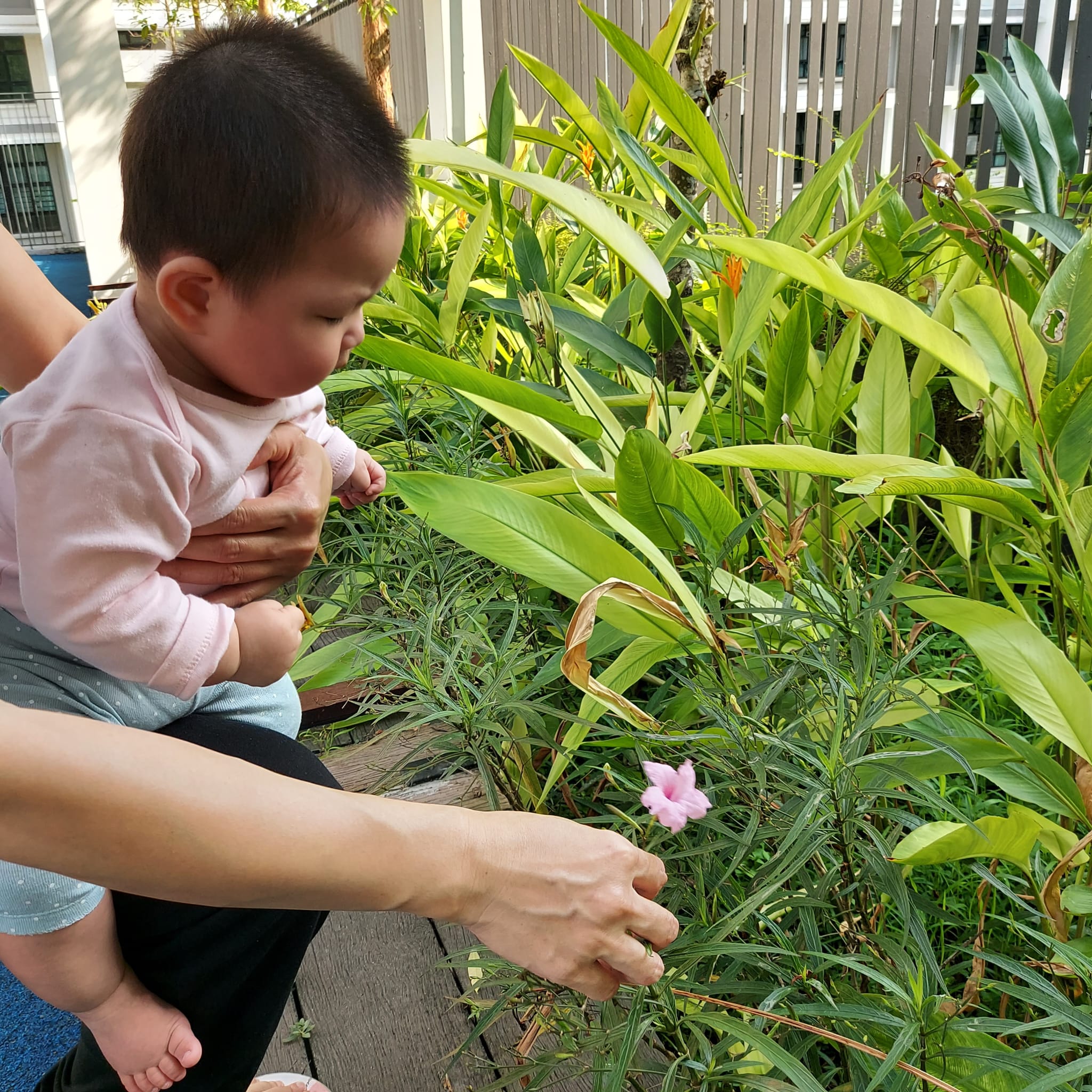 Events Gallery - Activities - Carpe Diem